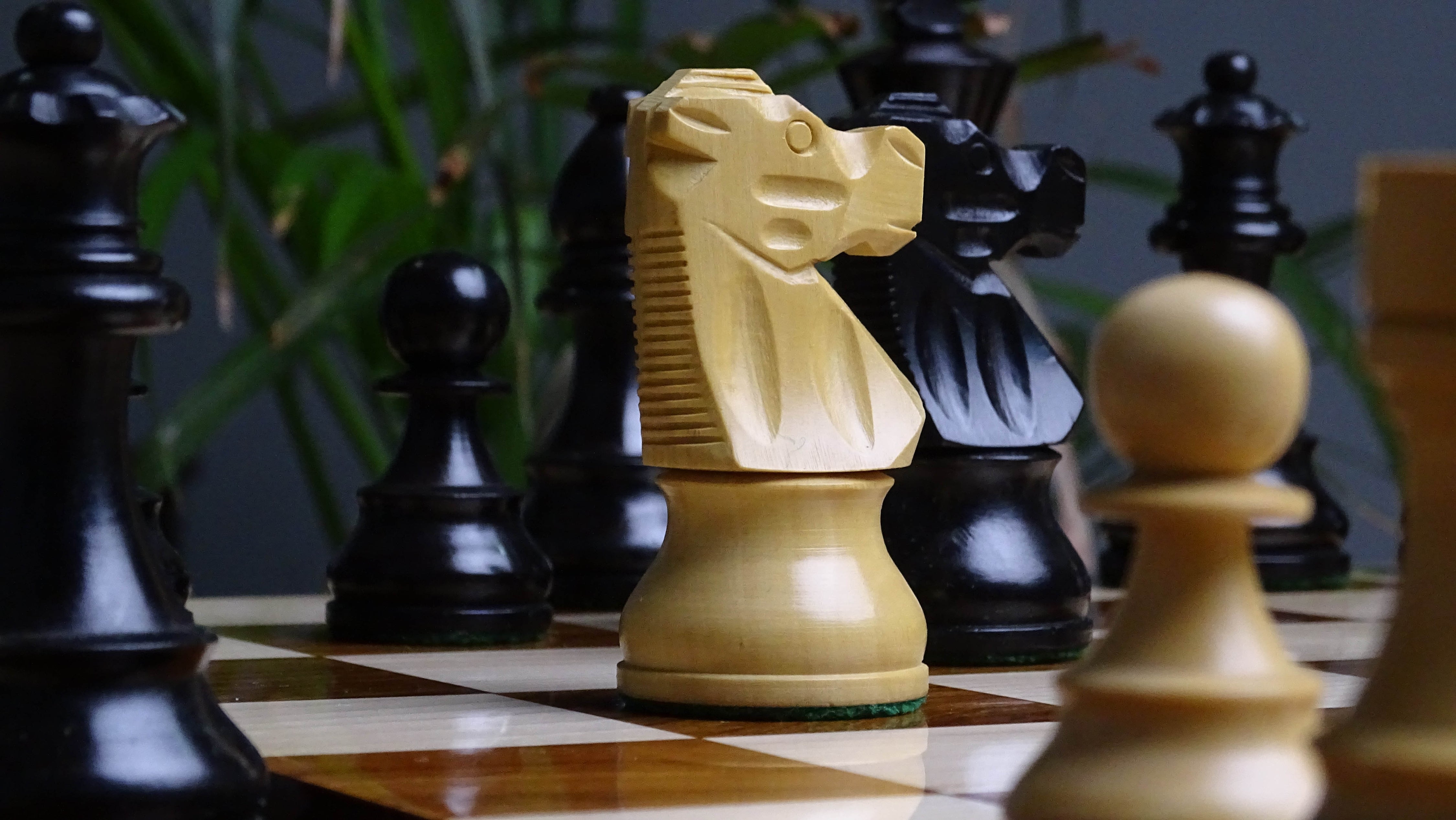 Buy Chess from Indian Chess Company
